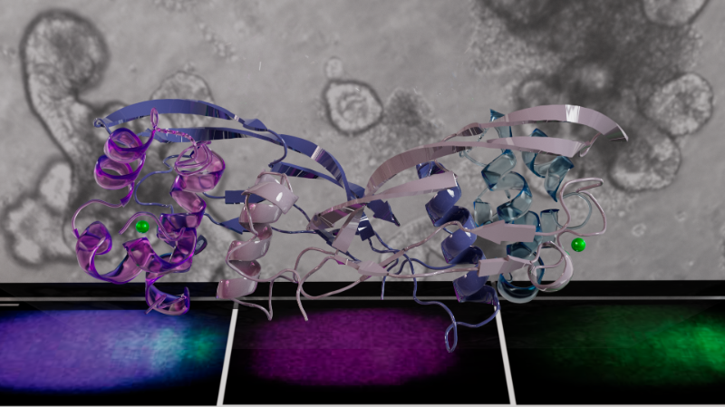 Welcome to I23 - - Diamond Light Source