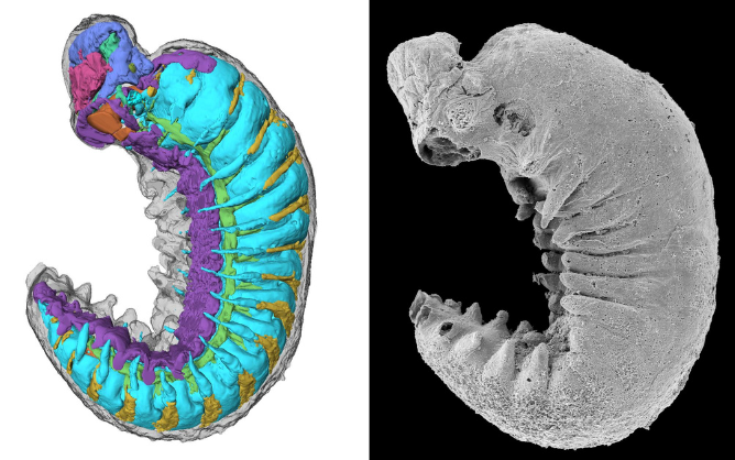 Diamond Light Source